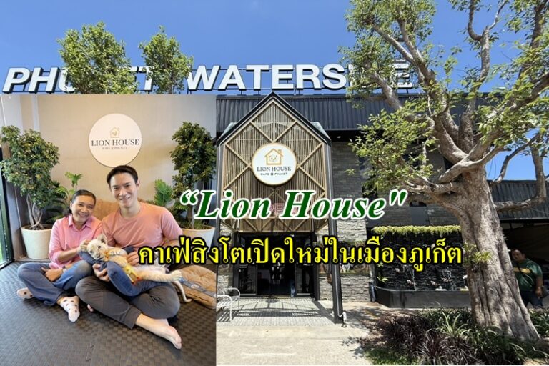 “Lion House CAFE@ PHUKET” คาเฟ่สิงโต เปิดใหม่กลางเมืองภูเก็ต – PHUKET POWER